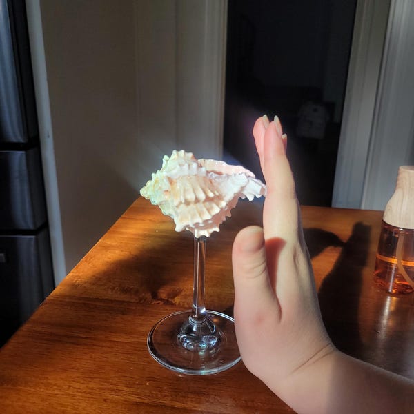 Custom Name Seashell Wine Glasses, Wedding Bridesmaids Gift,beach Shell ...