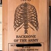 NCO Backbone of the Army Plaque; Induction, Promotion, Soldier, Army ...