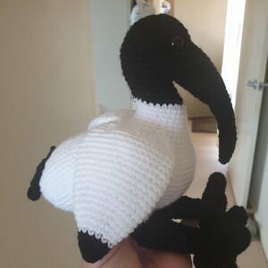 PATTERN Barbara Bin Chicken Amigurumi Ibis - Etsy