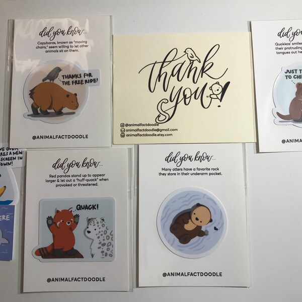 Tier Sticker Set/Pack / Axolotl, Otter, Capybara, Quokka, Roter Panda ...
