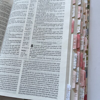 Glossy Vinyl Bible Tabs With Placement Guide for Bible Study - Etsy