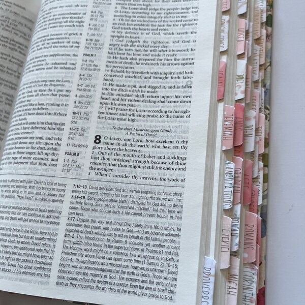 Glossy Vinyl Bible Tabs With Placement Guide for Bible Study - Etsy