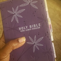 Aladdin Color Palette Procreate Color Palette Digital Color Palette ...