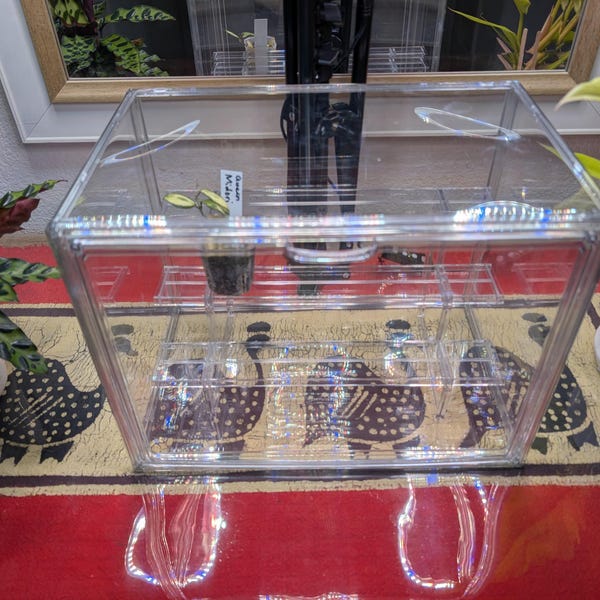 Mini Greenhouse L | Acrylic Clear Plant Propogation Box | With ...