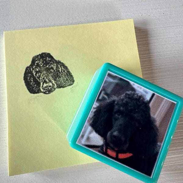 Custom Pet Stamp Self Inking-cat Dog Portrait Pre Inked Stamp ...