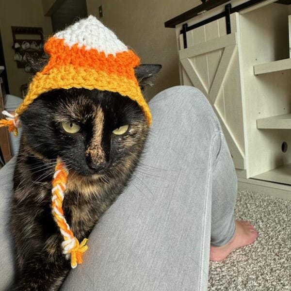 Devil Dog Costume, Devil Horns for Large Breed Dogs, Red Devil Dog Hat ...