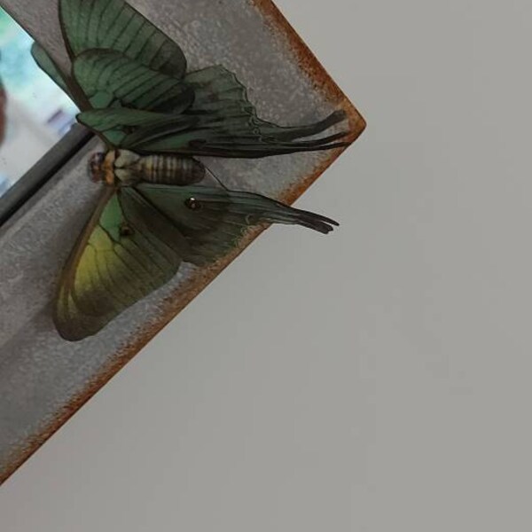 Extra Large Blue Morpho Silk Butterflies, Realistic Butterflies With ...