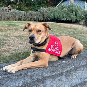 Vest select Your Size, STOP Do Not Approach, Light Weight Sd Style Vest ...