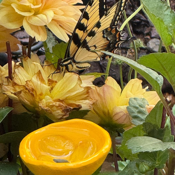 Bee Butterfly Watering Station,butterfly Puddler,garden Art,gift for ...
