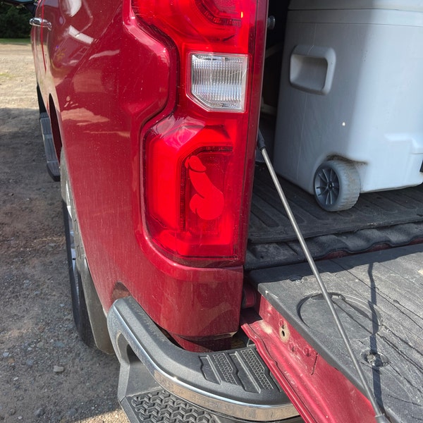 The Original Prank Break Light Decal [ Dick Sperm Gag Gift Anaconda ...