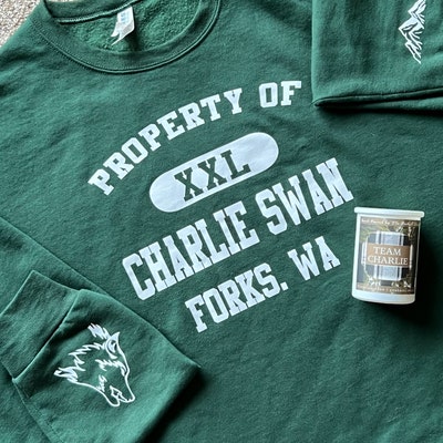 Throne of Glass Art, Tog Art, Rowan and Aelin Art, Fandom Art, Sjm ...