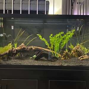 Aquascape Decor SOUL CANYON Aquarium Dragon Rocks Nature for - Etsy