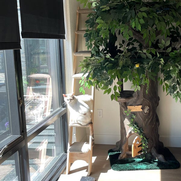 Cat Ladder - 7 Step Pine, Customizable | Movable Cat Perch – Always ...