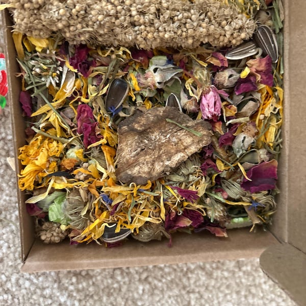 Forage Box | Rabbits, Guinea Pigs, Hamsters, Rats - Etsy UK