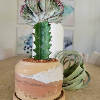 Blue Ridge Planter Desert Pot Handmade Pottery Boho Concrete Gift ...