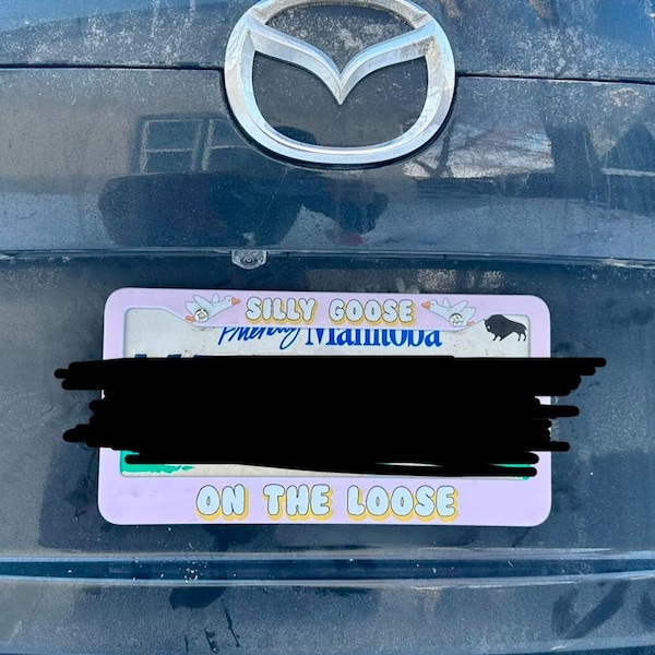 Pink Silly Goose on the Loose License Plate Frame, Cute Car Decor ...