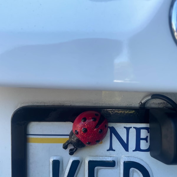 Lady Bug License Plate Screws - Etsy