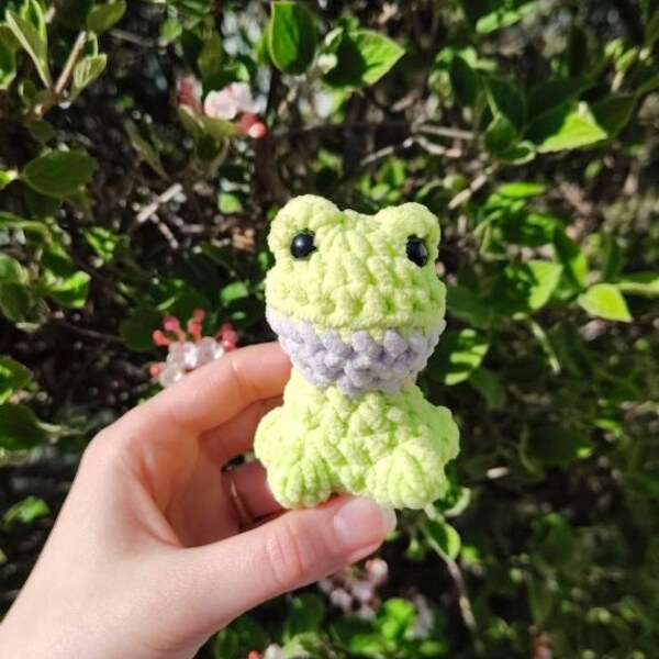 Igor the Iguana- Crochet Iguana Pattern- Imtermediate Crochet Pattern ...