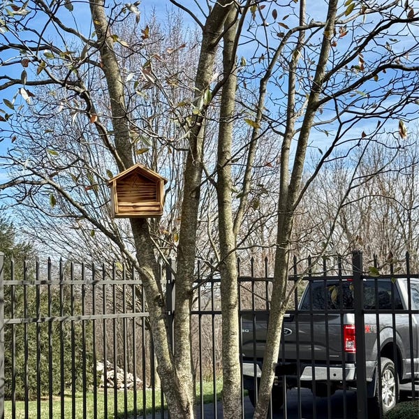 Thick Wooden Handmade Dove House W/torched Finish. Sealed and ...