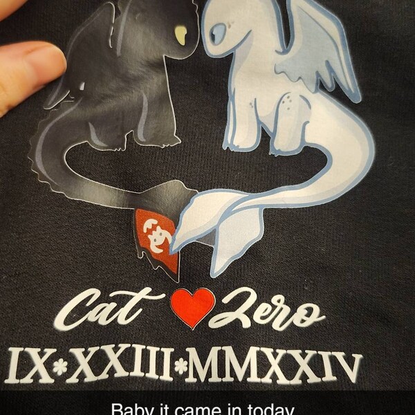 Personalized Toothless and Light Fury Couple Sweatshirt, Toothless ...