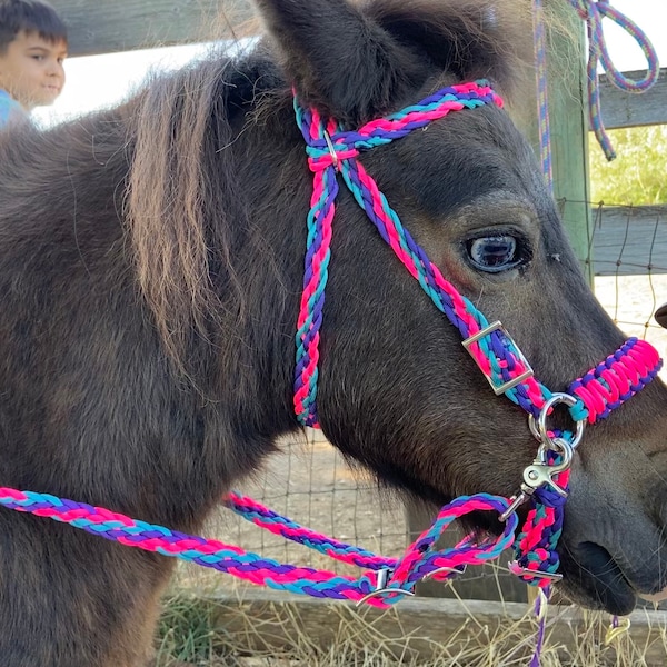 Pink Purple and Turquoise Pony Bitless Bridle, Miniature Horse ...