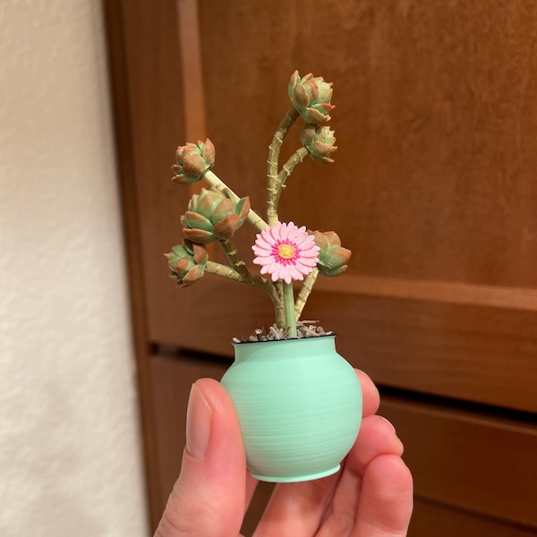 Maybe Happy Ending Hwaboon Broadway Musical Mini Desk Plant Ornament - Etsy