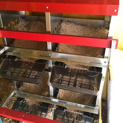 Duncan's Poultry 13x13 Excelsior Nesting Pads 10 Pack Nice Thick Nest ...