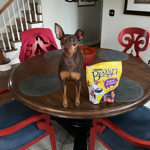 Chikara, Strength, Power, Power, Japanese Ideogram Symbol Kanji ...