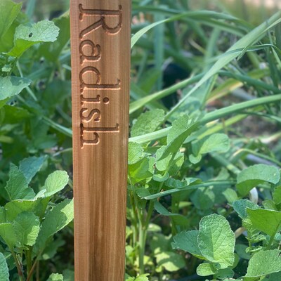 Garden Stick 10 Pack - Etsy