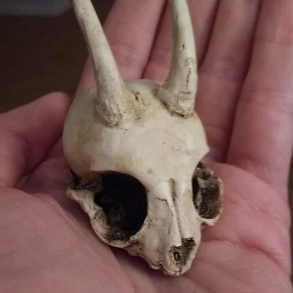 Raven Skull Replica Catalyst Studios Exclusive for Display Costume ...