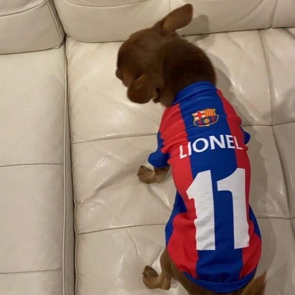 Barcelona Personalised Pet Tank Top FC 25/26 With Original FC Logo (dog ...
