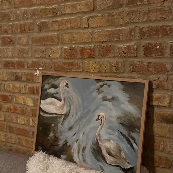Swans in Willows | Fine Art Print by Taylor Hammond | Pond Scene, Swan ...