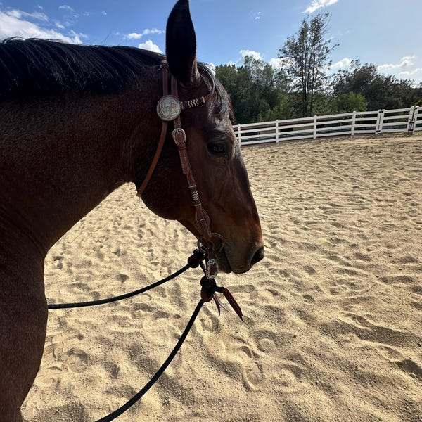 Yacht Rope Sport Mecate Reins W Poppers! Use With Slobber Straps ...