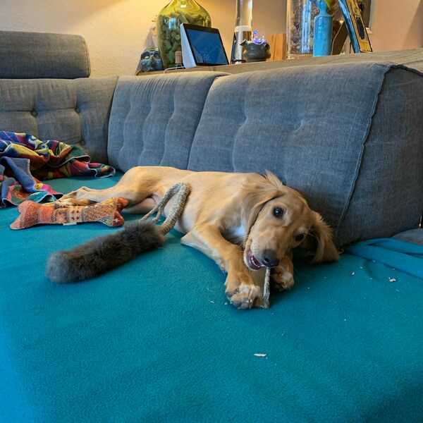 Natural Rabbit Fur and Linen Rope Dog Toy for Tug-of-war and Chasing ...