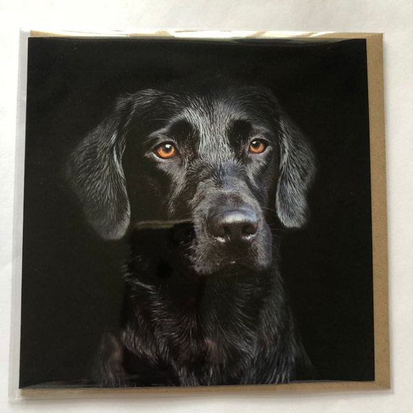 Black Labrador Greeting Card - Black Lab Birthday Card - Labrador ...