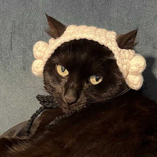 Powdered Wig, Hats for Cats, Barristers Wig, Judge Wig, Pet Costumes ...