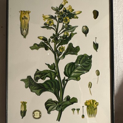 Grocery Store Food WPA Poster, Vintage Style Reproduction Print - Etsy