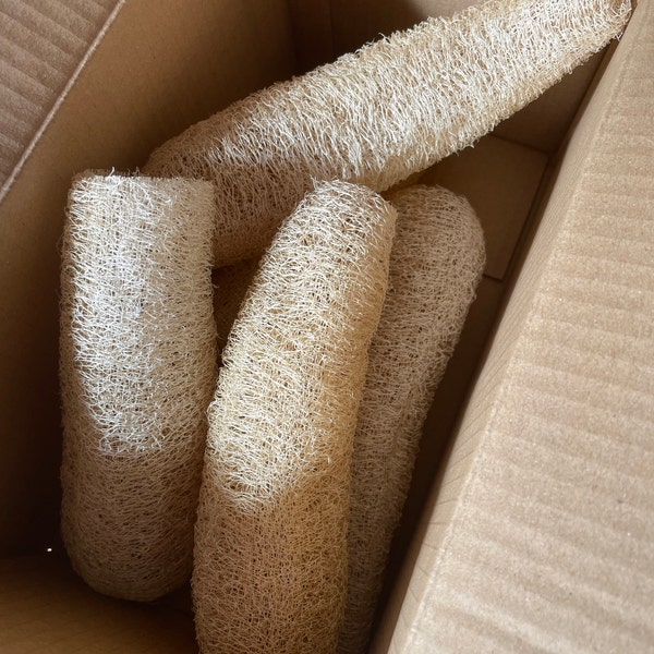 Editable Classroom Donation Printable | Teacher Wish List Items | Meet ...