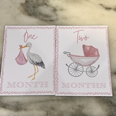 Girl Milestone Cards Hospital Card - Etsy