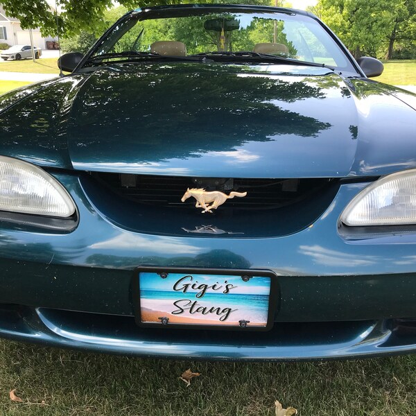 Personalized Freshwater Fishing License Plates, Add Your Text, Aluminum ...