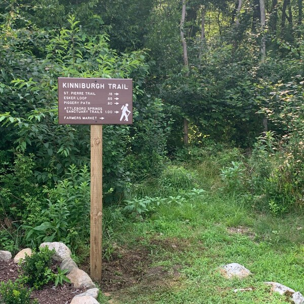 National Forest Script Header Trail Sign - Etsy