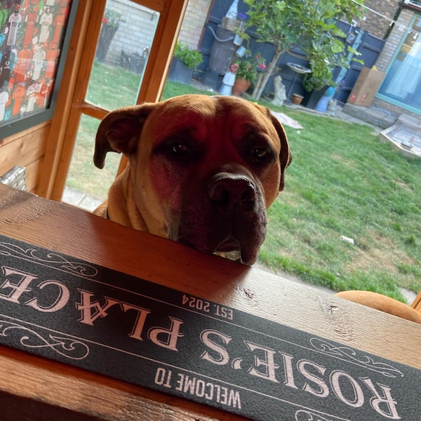 Personalised Pub Shed Hanging Swing Sign With Bracket | Garden Pub ...