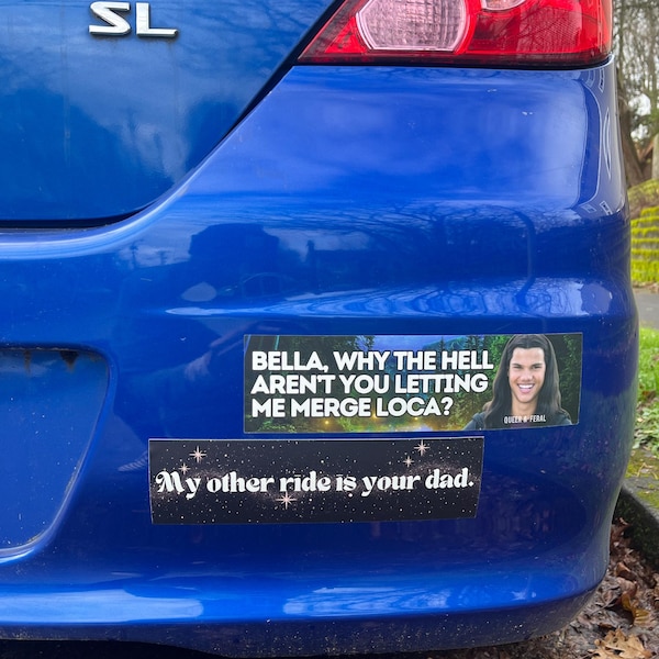 Funny Twilight Bumper Sticker, Unhinged Bumper Sticker, Funny Bumper ...