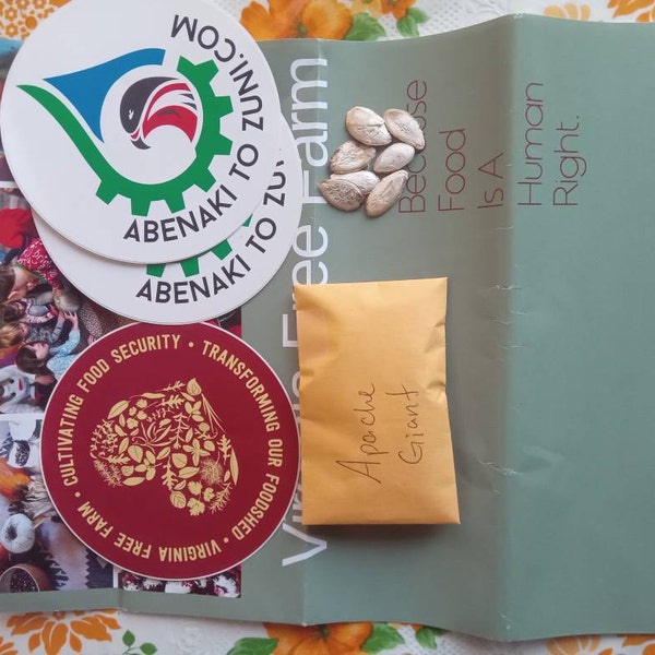 Kiwano Melon - African Horned Jelly Blowfish Fruit - Seed Packet - Etsy