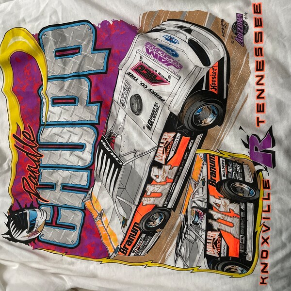 Vintage 2002 Dale Earnhardt 3 / Dale Jr Nascar Rugs 14x46 - Etsy