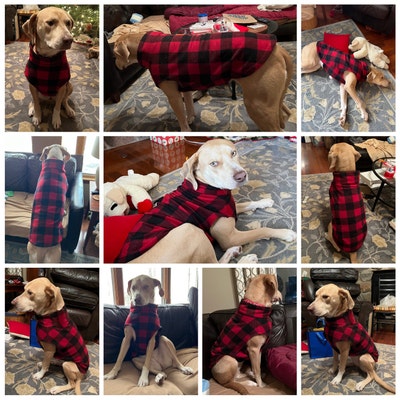 Dog Fleece Polo PDF Sewing Pattern Sizes XXS to 3XL 8 Sizes - Etsy