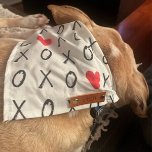 Pet ID Tag for Dogs, Dog Tag, Funny Pet Tags, Cute Pet ID Tags, Dog ...