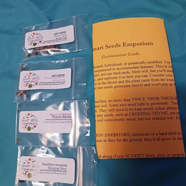 Prairie Smoke, 20 Seeds, Geum Trifolium, Prairie Wildflower, Crazy Seed ...