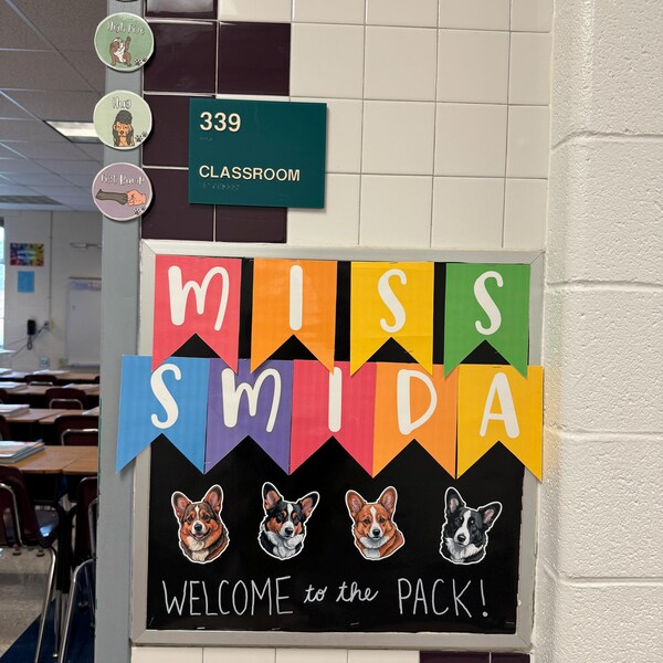 North American Bison Sticker Pack – Set of 6 Vinyl Decals – Perfect for ...