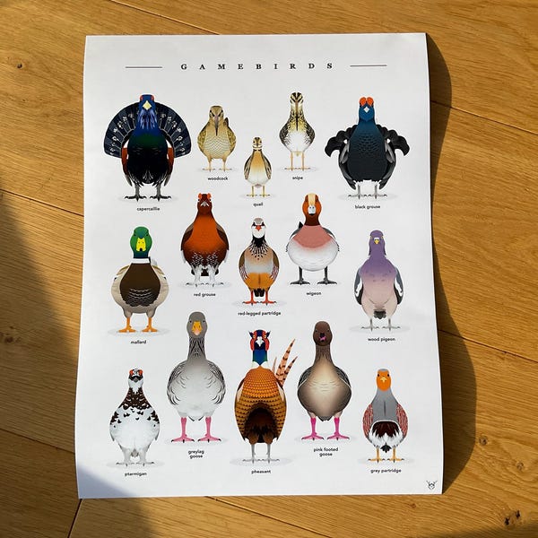 British Gamebirds Art Print - Game Birds Print - Gamebirds Poster ...